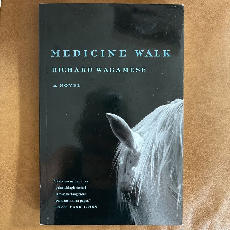 Medicine Walk by Richard Wagamese, Paperback | Pangobooks