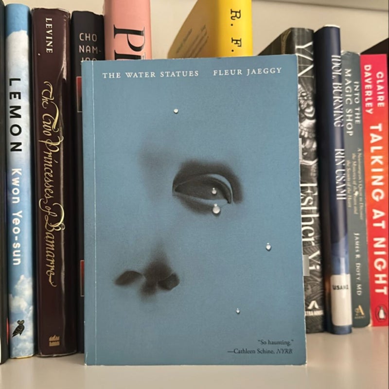 The Water Statues by Fleur Jaeggy, Gini Alhadeff