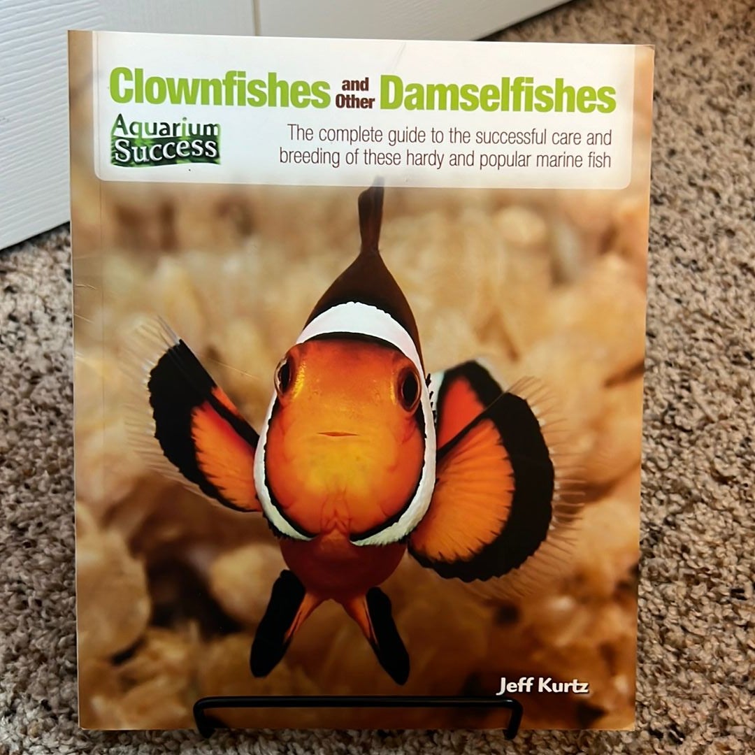 Clownfishes and Other Damselfishes by Jeff Kurtz