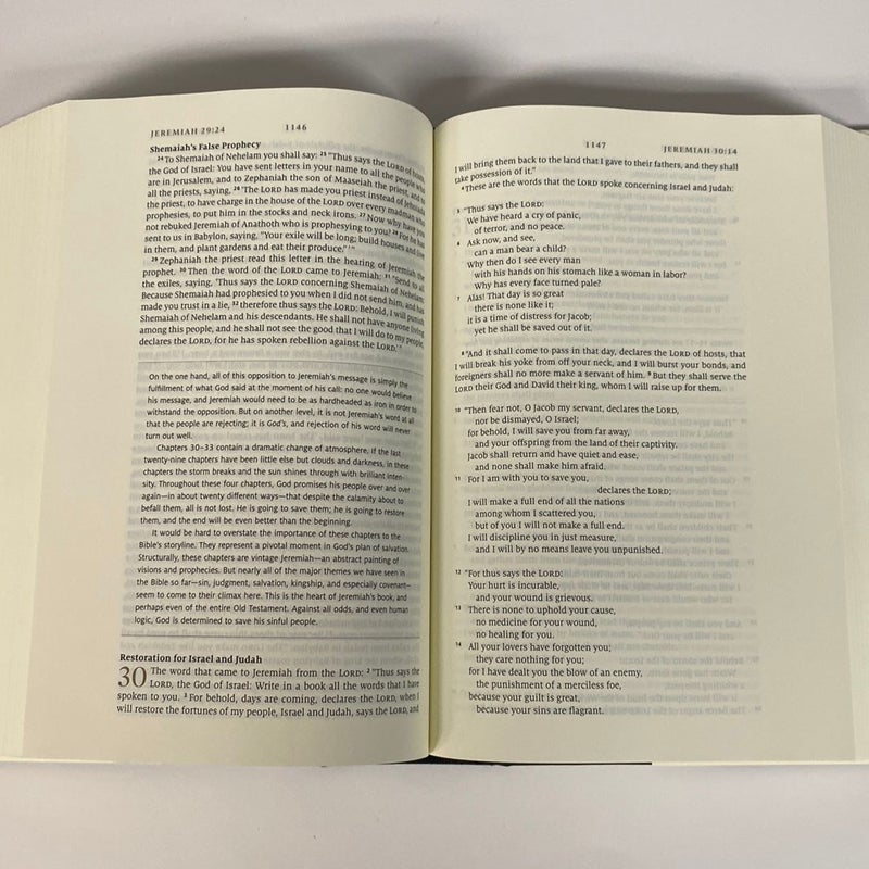 ESV Story of Redemption Bible: a Journey Through the Unfolding Promises of God by Greg Gilbert ...