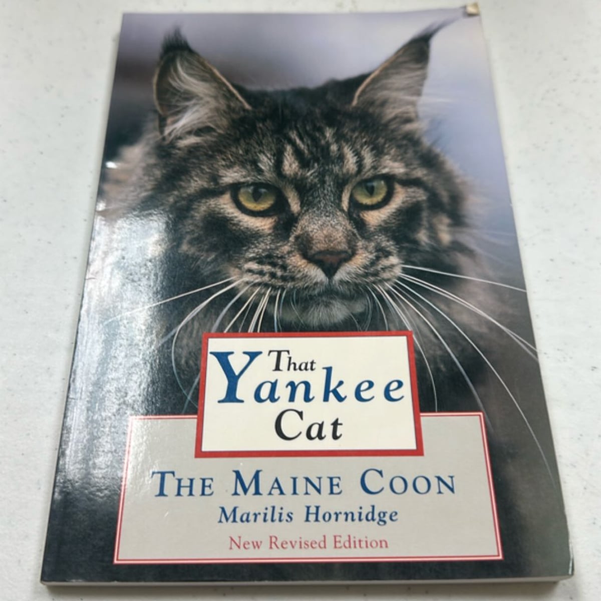 That Yankee Cat the Maine Coon by Marilis Hornidge
