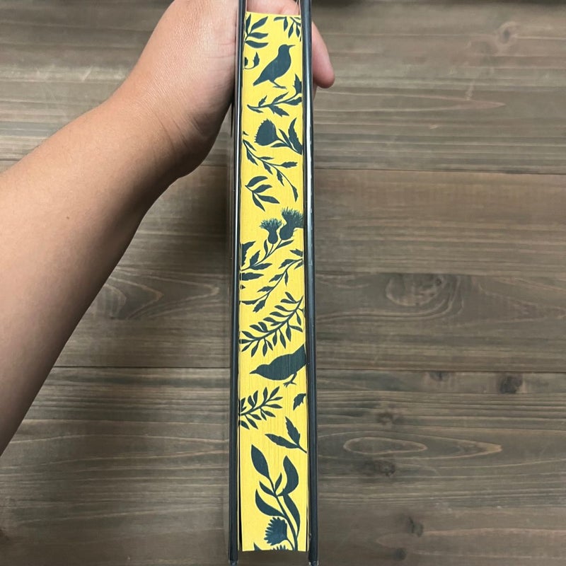 The Book of Eve by Meg Clothier