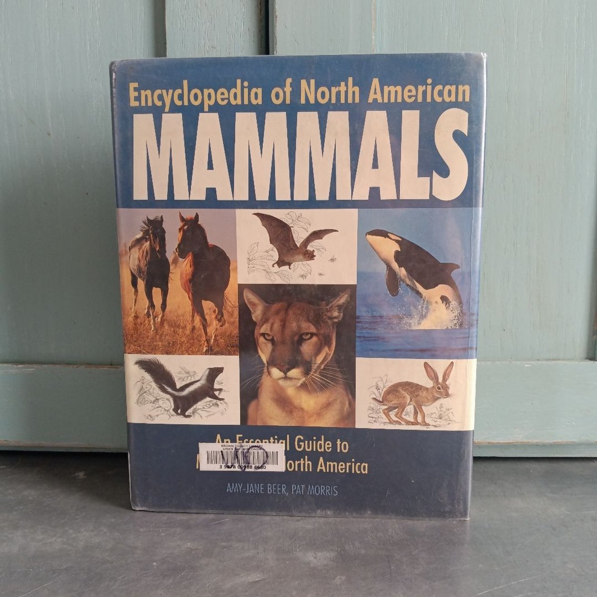 Encyclopedia of North American Mammals by Amy-Jane Beer, Pat Morris