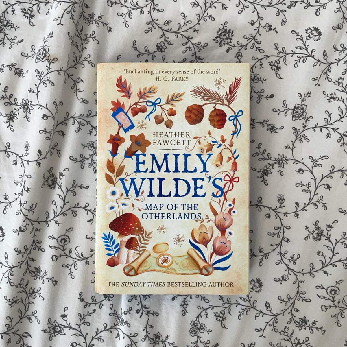 Fairyloot Emily Wilde’s Map of the Otherlands by Heather Fawcett ...
