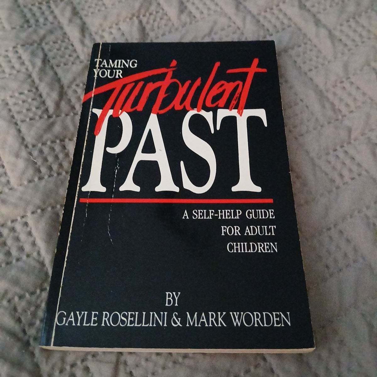 Taming Your Turbulent Past by Gayle Rosellini, Mark Worden