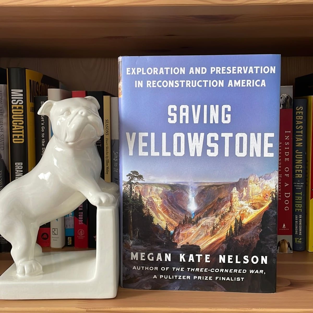 Saving Yellowstone by Megan Kate Nelson, Hardcover | Pangobooks
