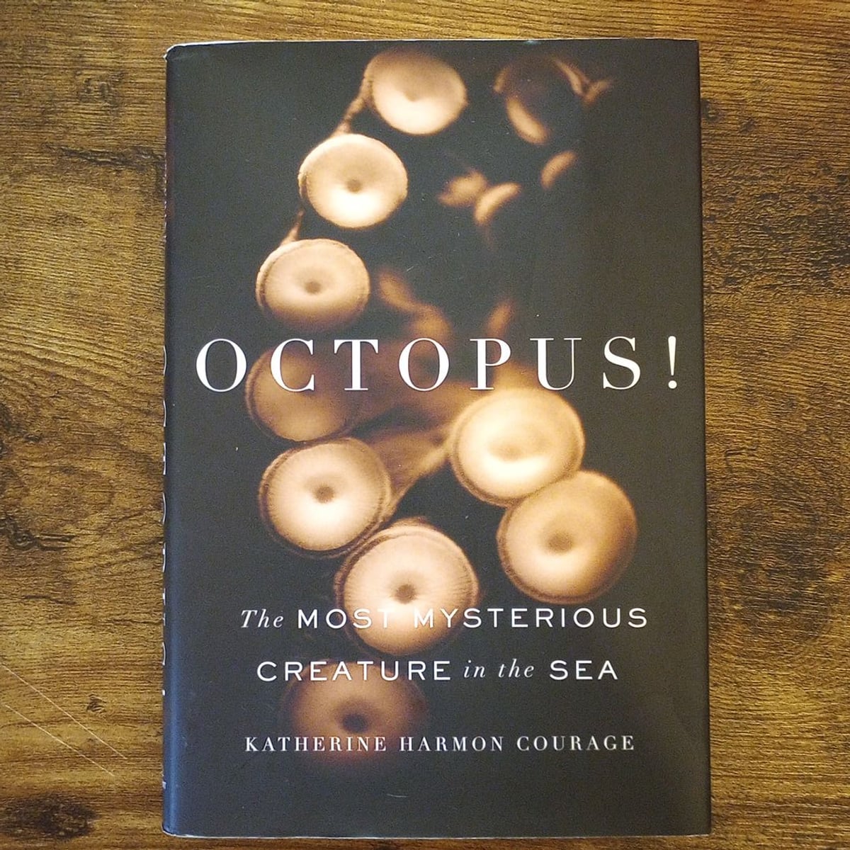 Octopus! by Katherine Harmon Courage