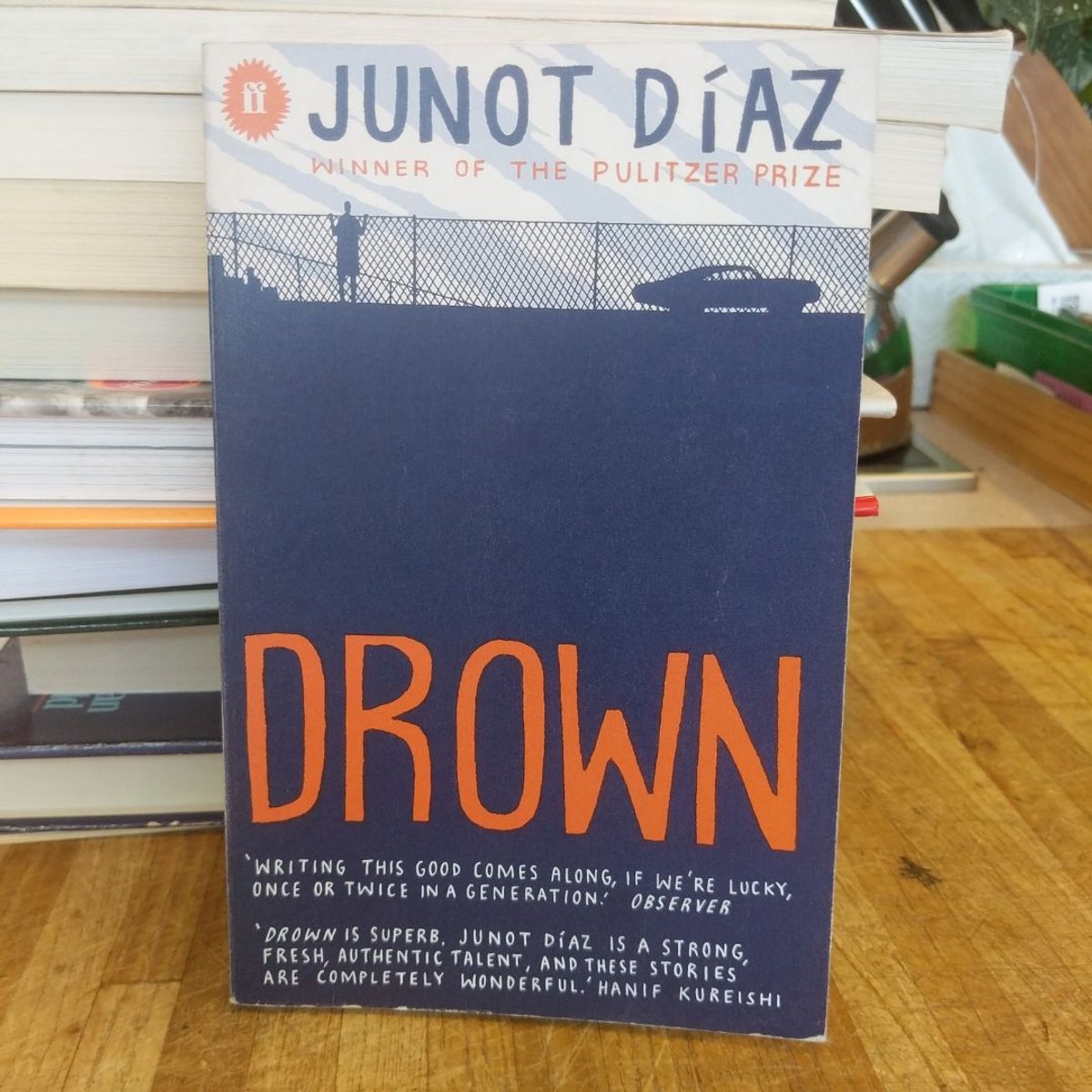 Drown by Junot Diaz