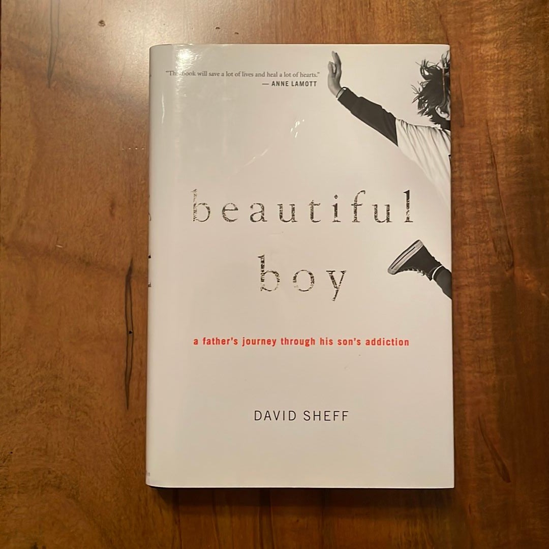 Beautiful Boy by David Sheff