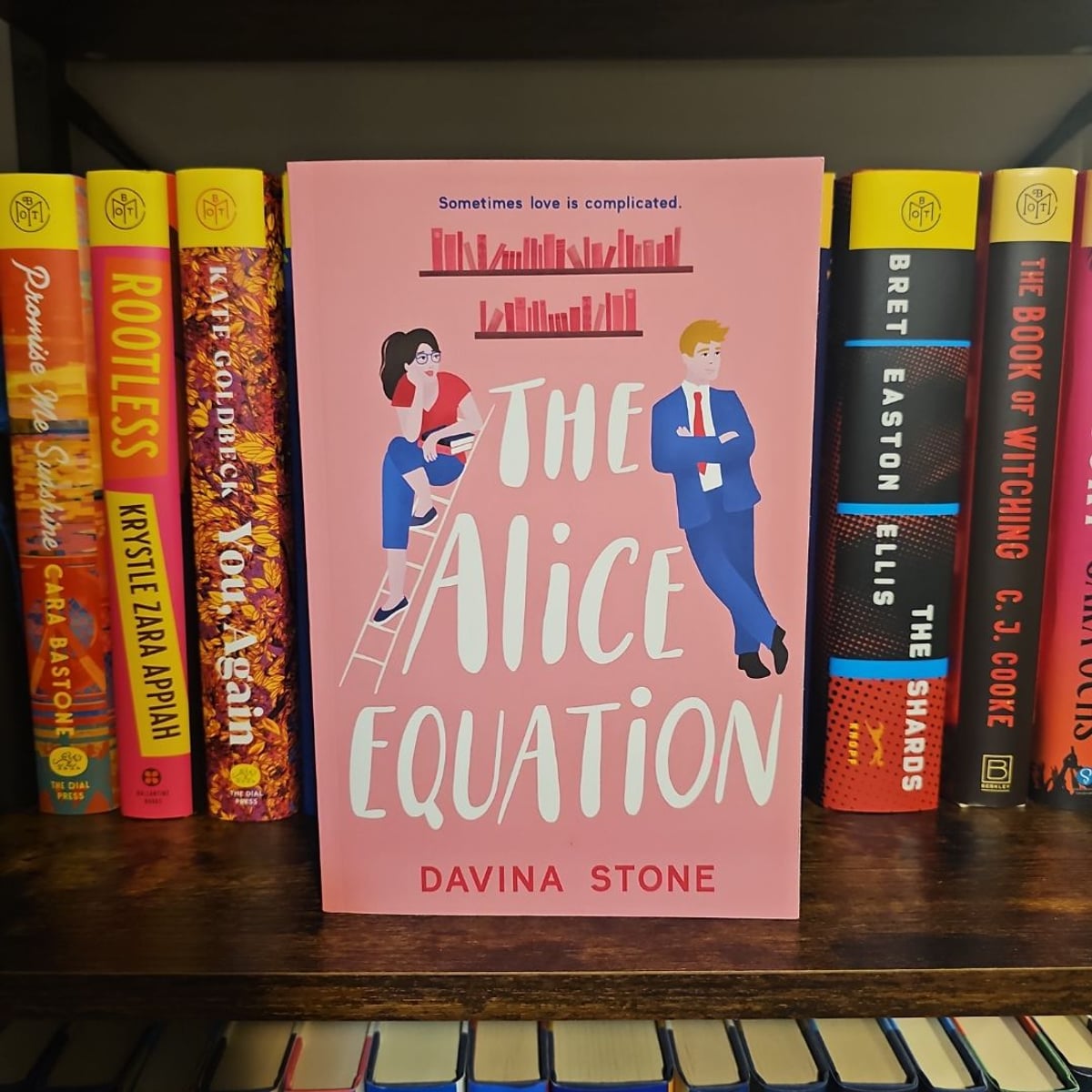 The Alice Equation by Davina Stone