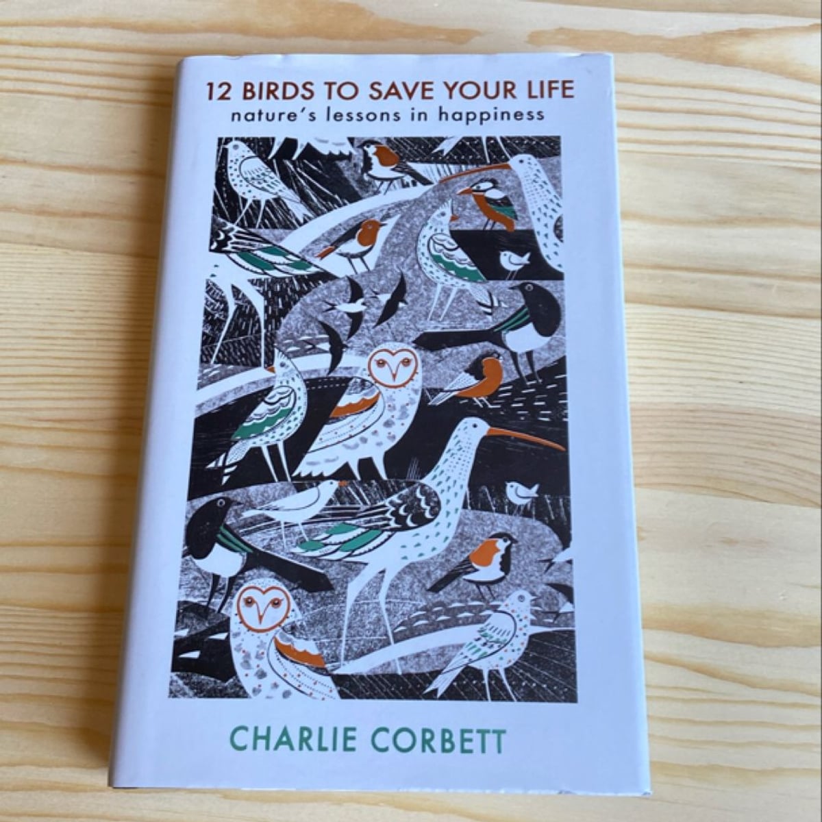 12 Birds to Save Your Life by Charlie Corbett