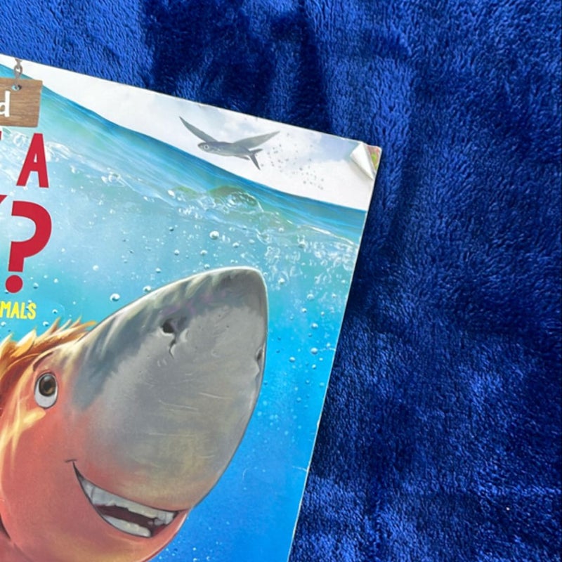 What If You Could Sniff Like a Shark?: Explore the Superpowers of Ocean ...