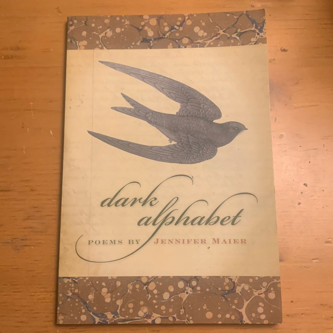 Dark Alphabet by Jennifer Maier