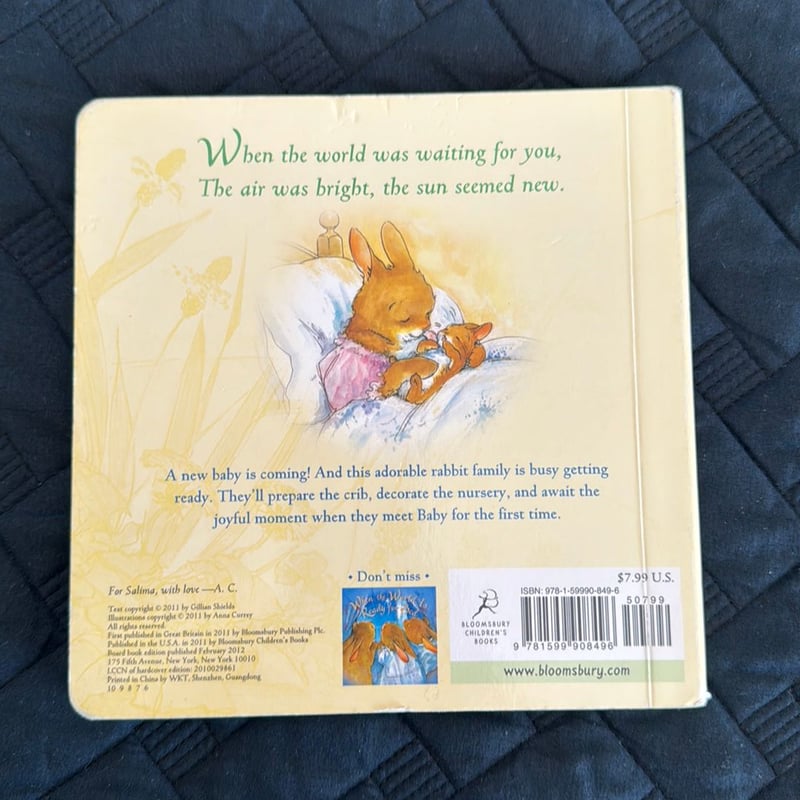 When the World Was Waiting for You by Gillian Shields, Hardcover ...