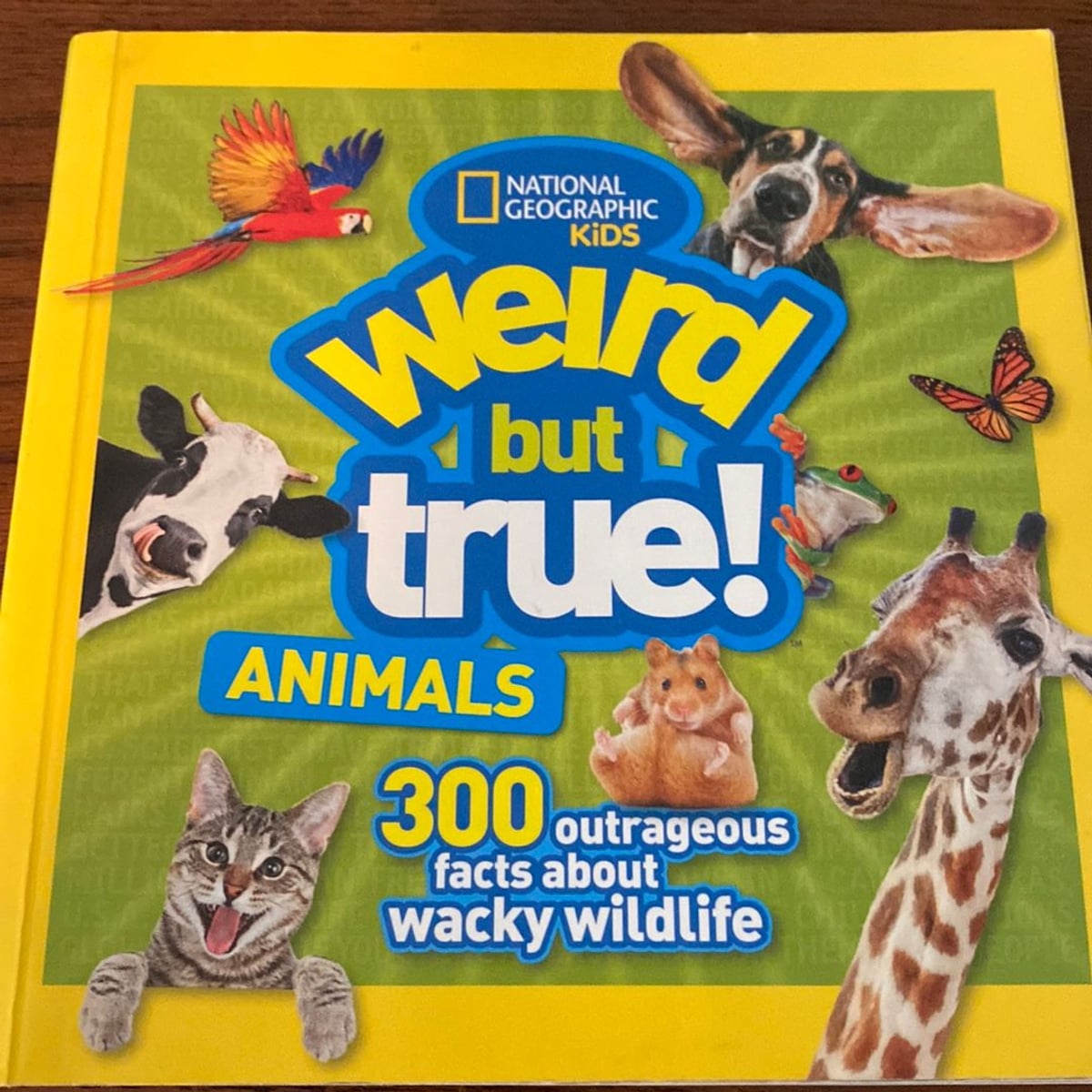 Weird but True Animals by National Geographic Kids