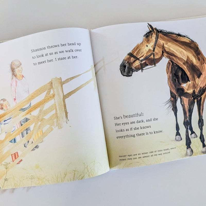 Hello, Horse by Vivian French, Hardcover | Pangobooks