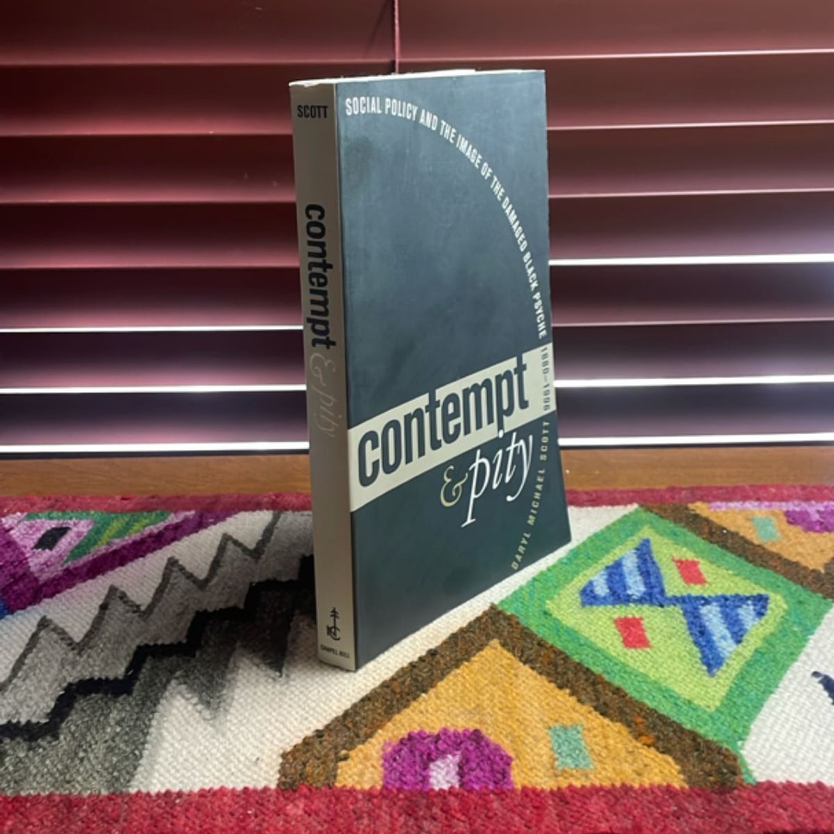 Contempt and Pity by Daryl Michael Scott