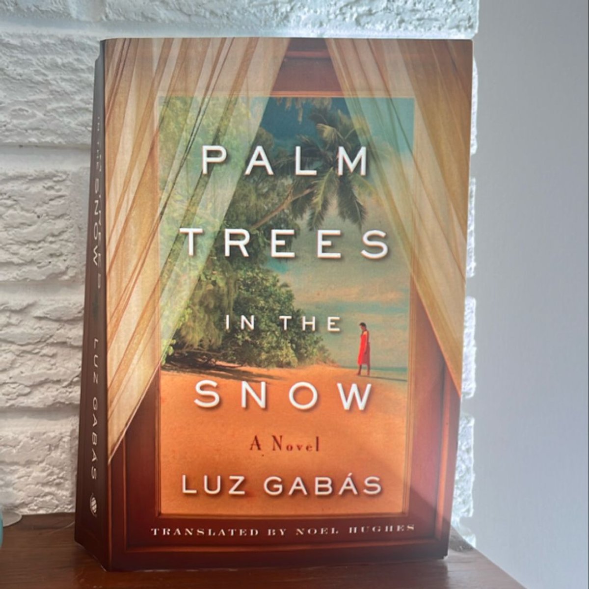 Palm Trees in the Snow by Luz Gabás; Noel Hughes (Translator)