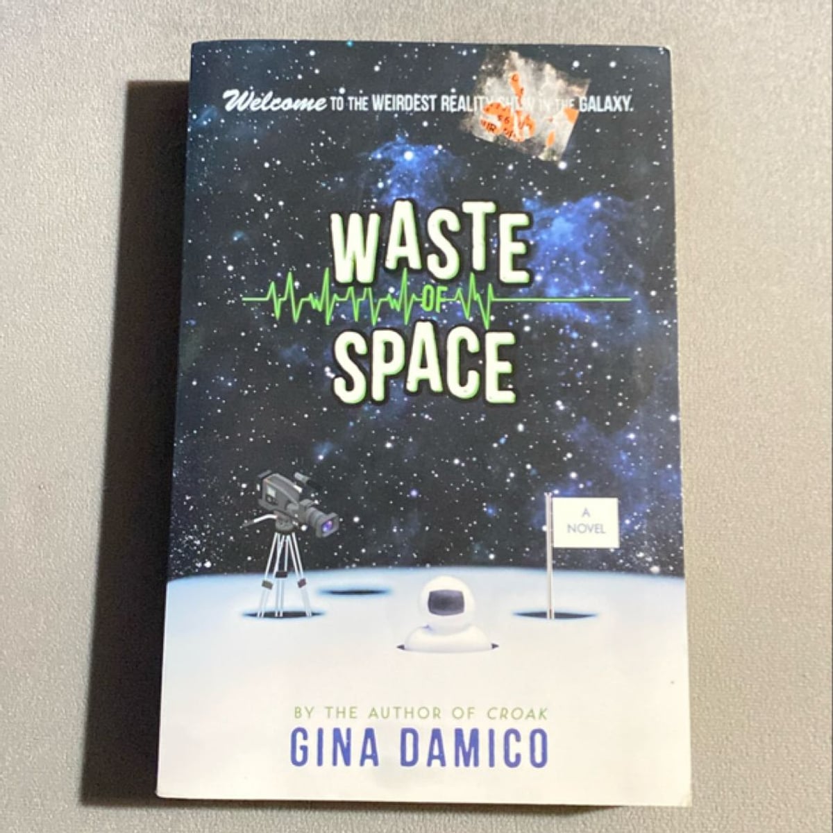 Waste of Space by Gina Damico