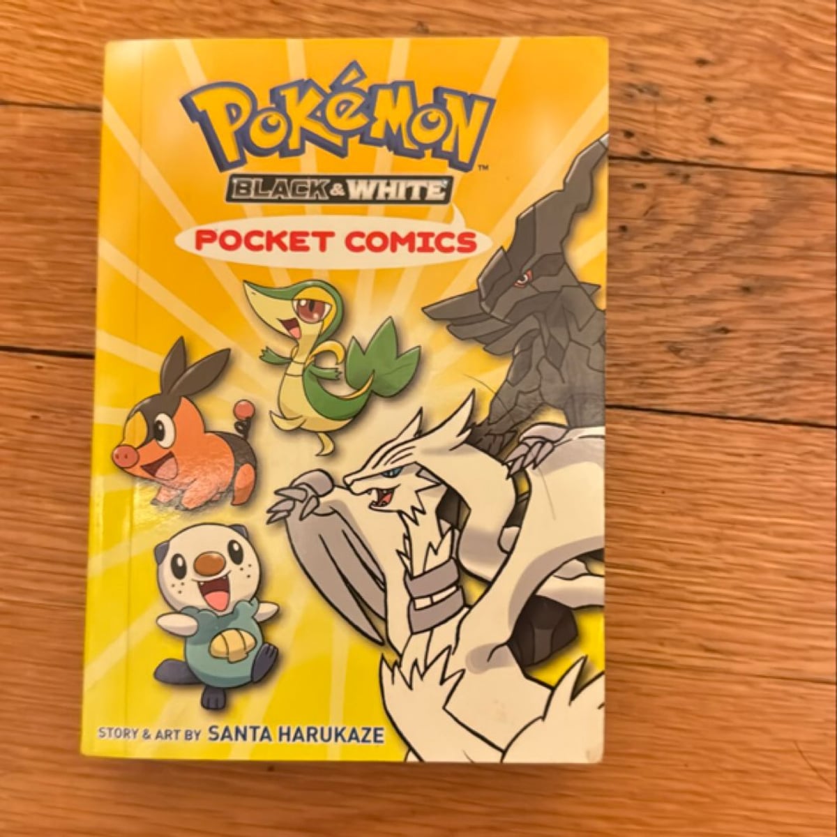 Pokémon Pocket Comics: Black and White by Santa Harukaze
