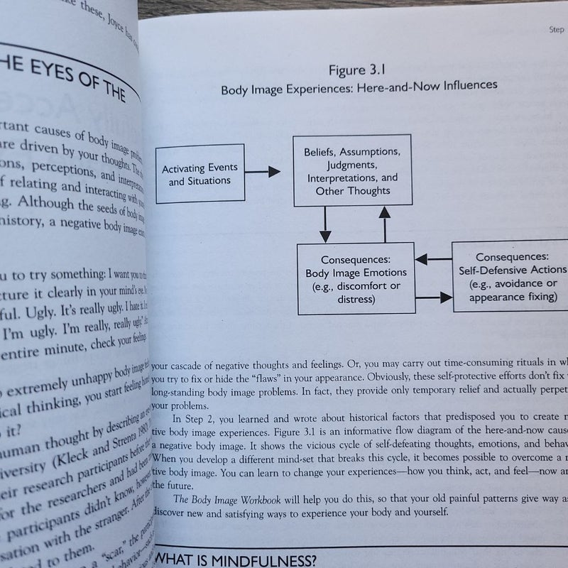 The Body Image Workbook by Thomas F. Cash, Paperback | Pangobooks