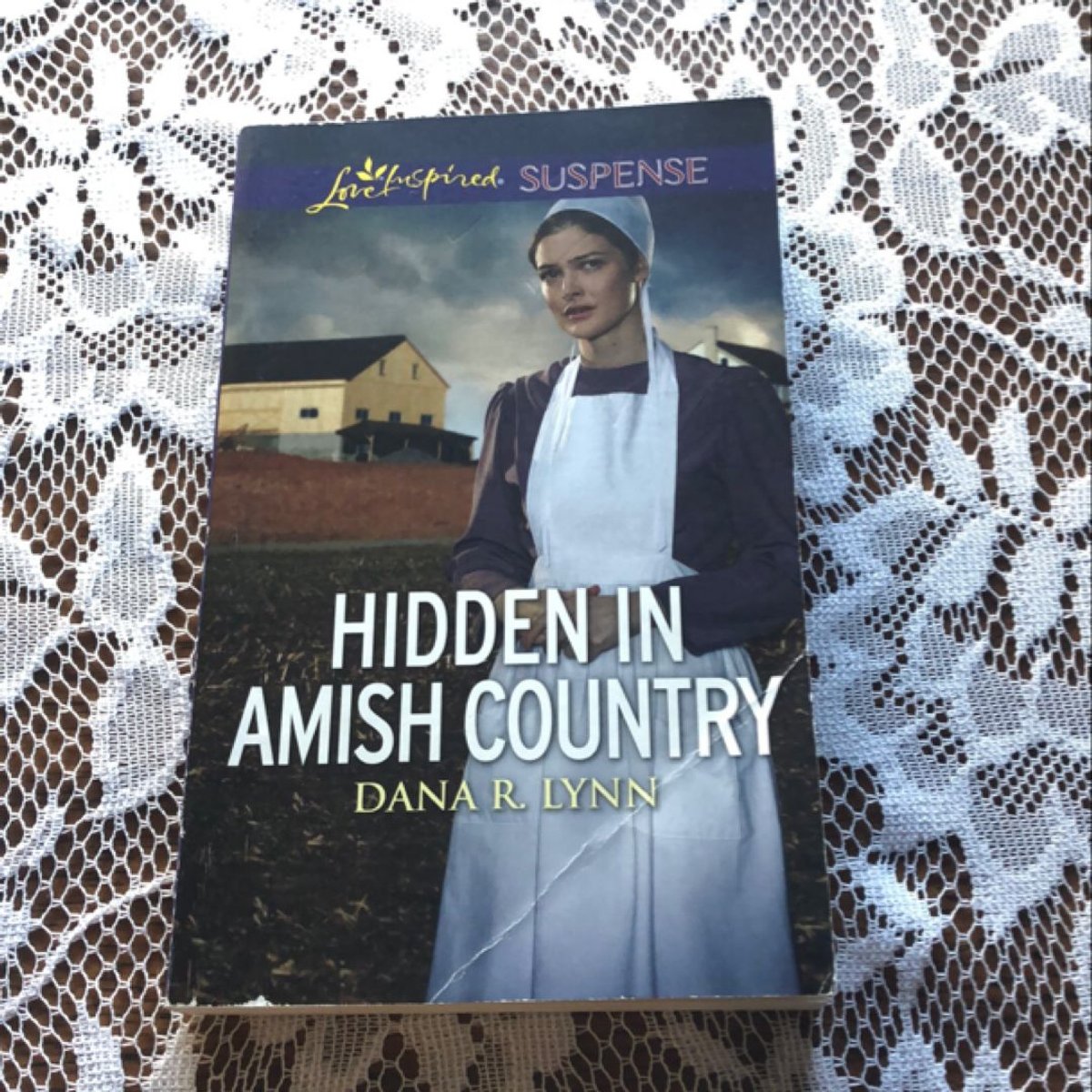 Hidden in Amish Country by Dana R. Lynn