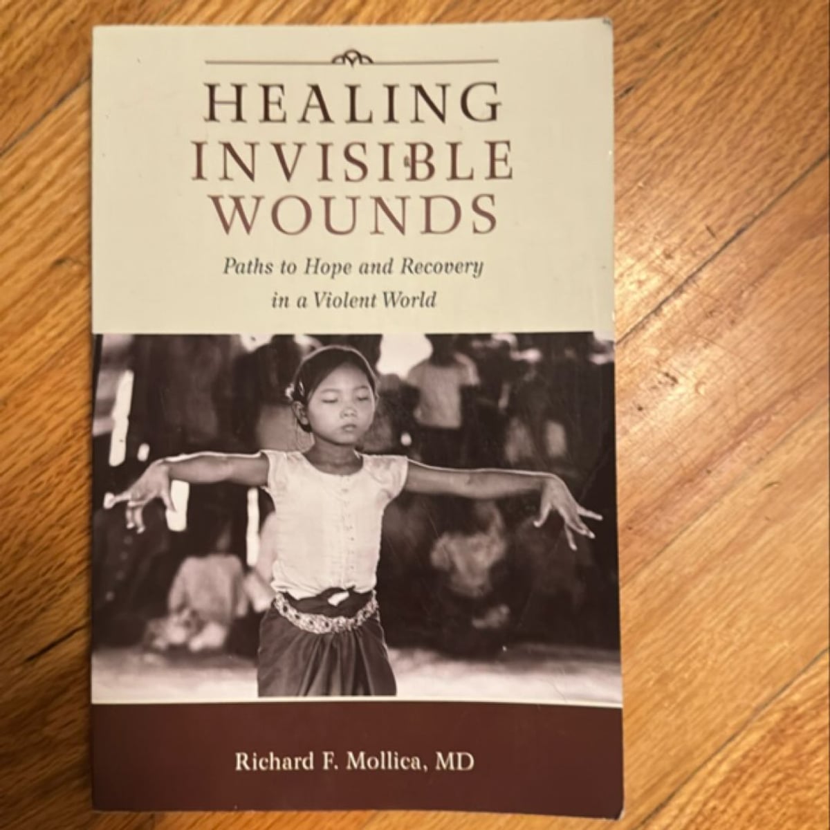 Healing Invisible Wounds by Richard F. Mollica