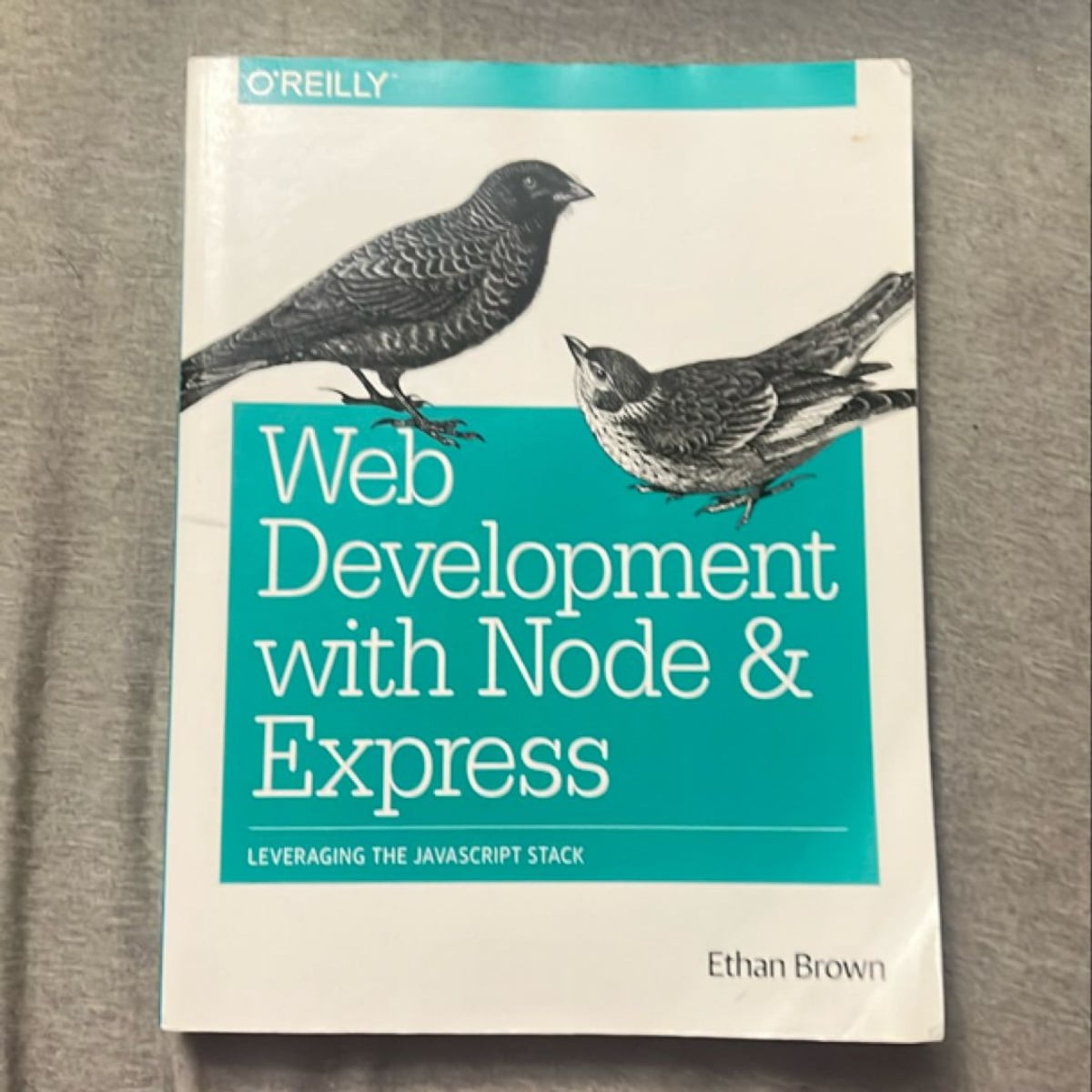 Web Development with Node and Express by Ethan Brown