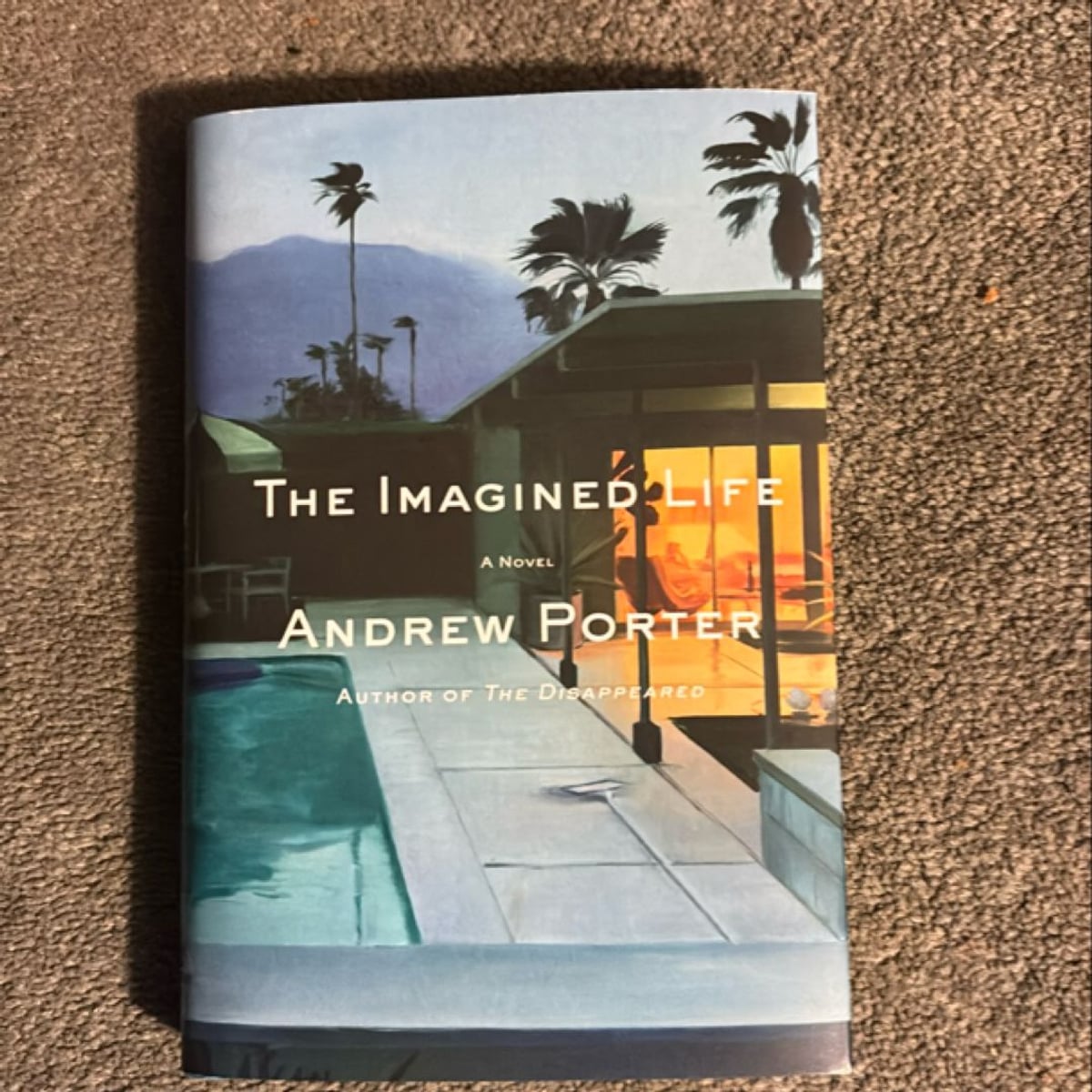 The Imagined Life by Andrew Porter