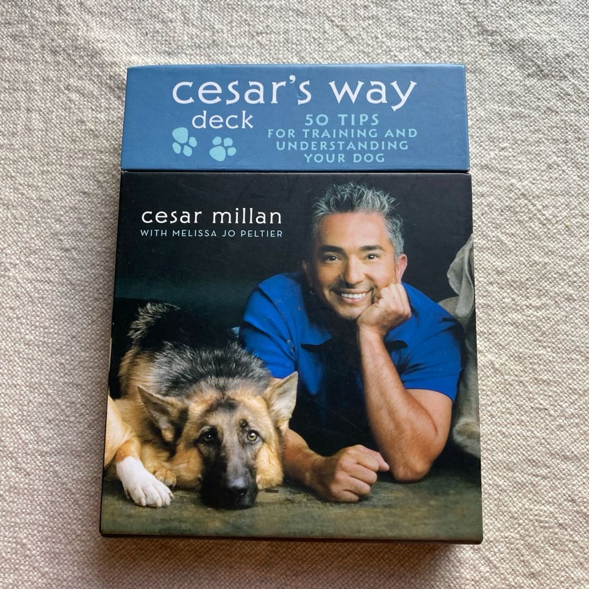Cesar's Way Deck by Cesar Millan