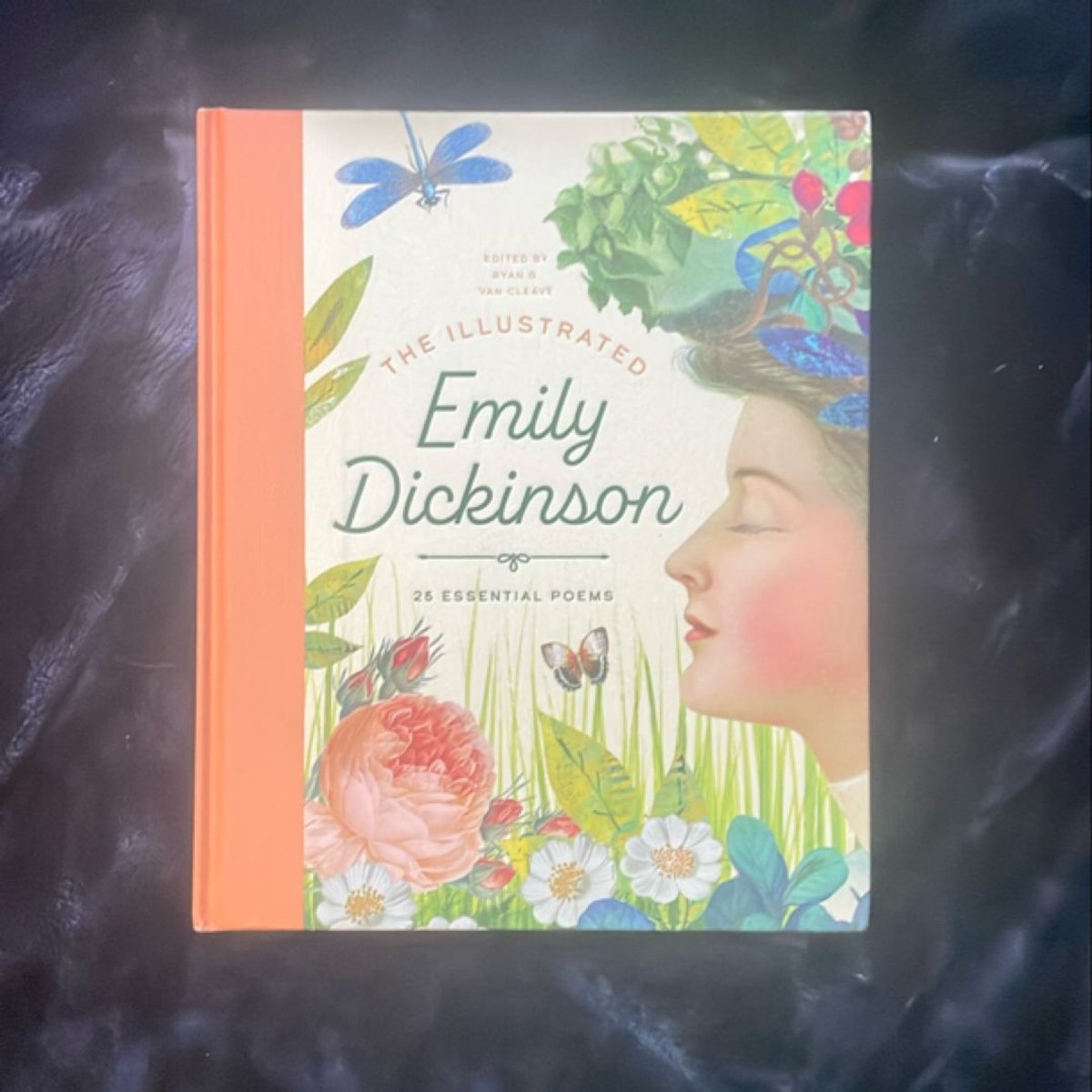 The Illustrated Emily Dickinson by Ryan G. Van Cleave