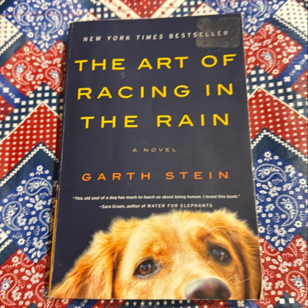The Art of Racing in the Rain by Garth Stein, Paperback | Pangobooks