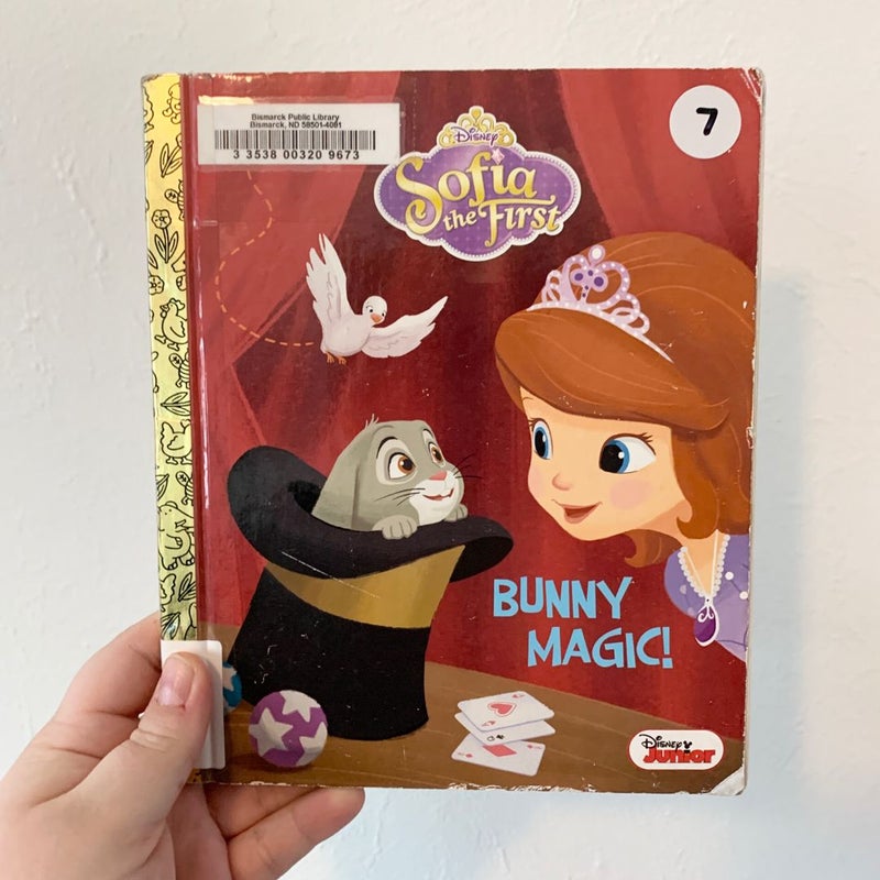 Bunny Magic! (Disney Junior: Sofia the First) by Andrea Posner-Sanchez ...