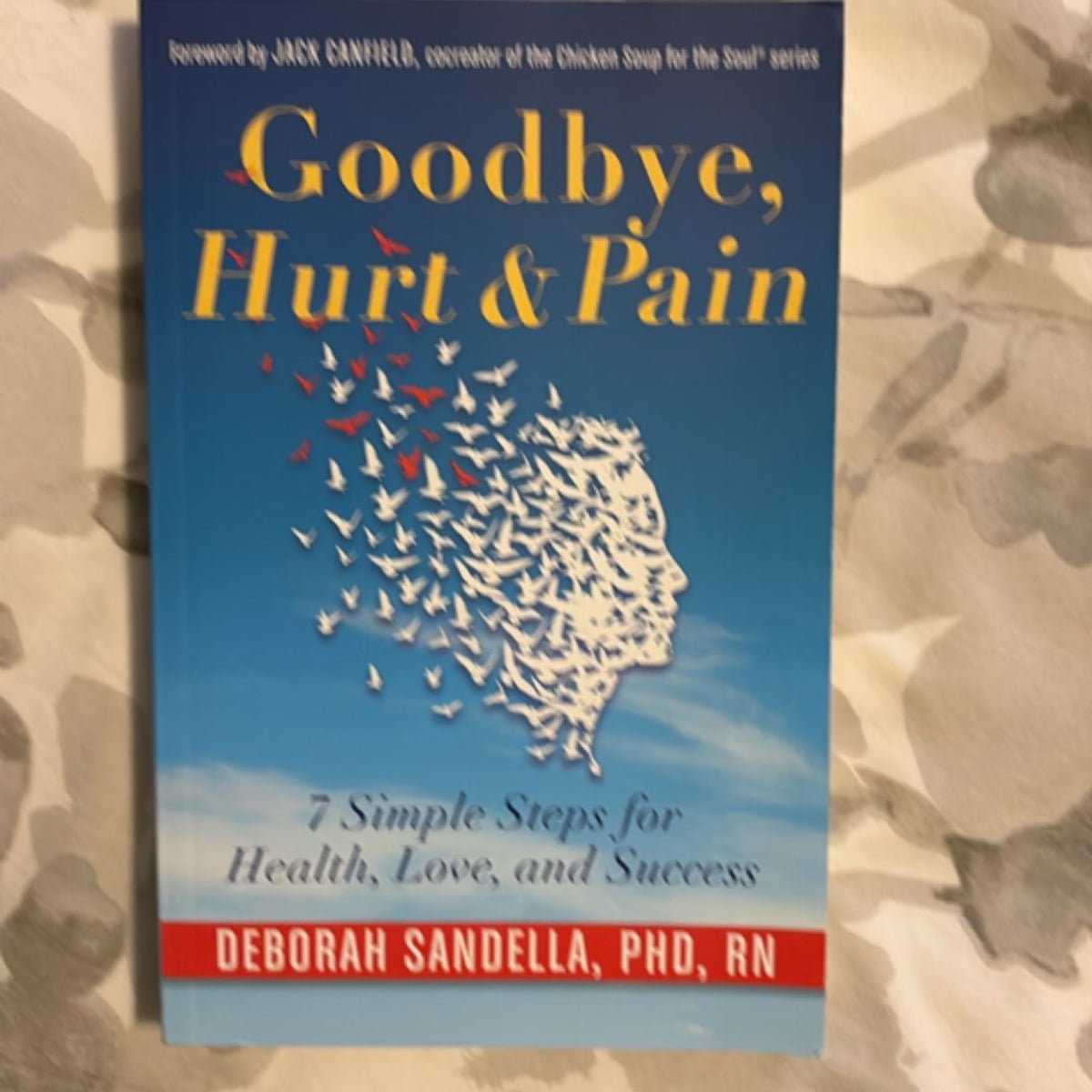 Goodbye, Hurt and Pain by Deborah Sandella, Jack Canfield