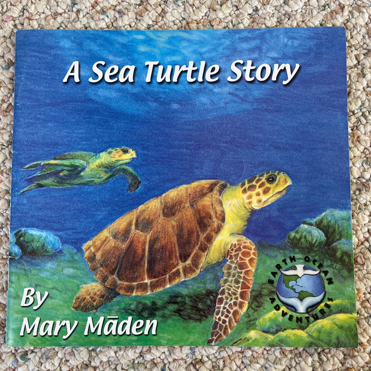 The Life Cycle of a Sea Turtle by Bobbie Kalman