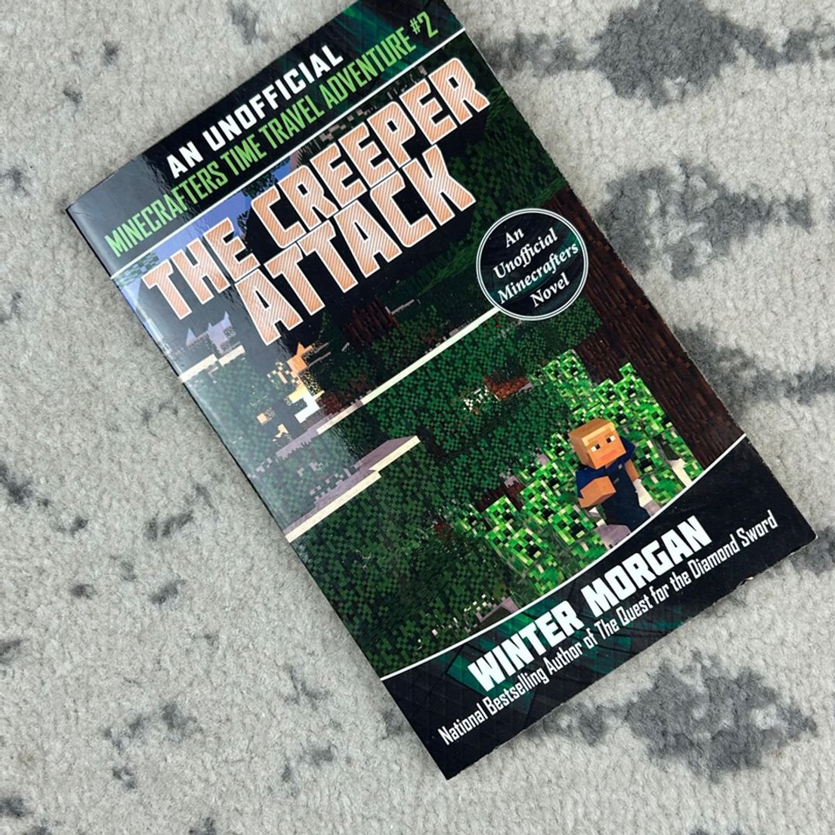 The Heroic Visitor (for Fans of Creepers) by Winter Morgan, Paperback ...