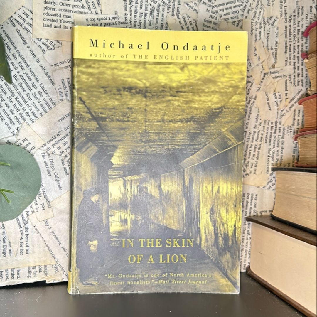 In the Skin of a Lion by Michael Ondaatje