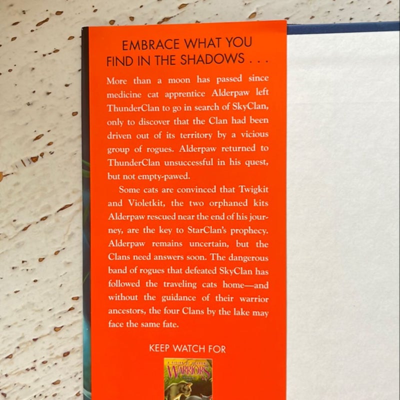 Warriors: a Vision of Shadows #2: Thunder and Shadow by Erin Hunter