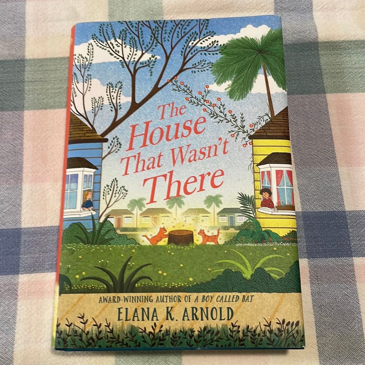 The House That Wasn't There by Elana K. Arnold