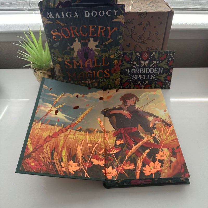 Sorcery and Small Magics by Maiga Doocy, Hardcover | Pangobooks