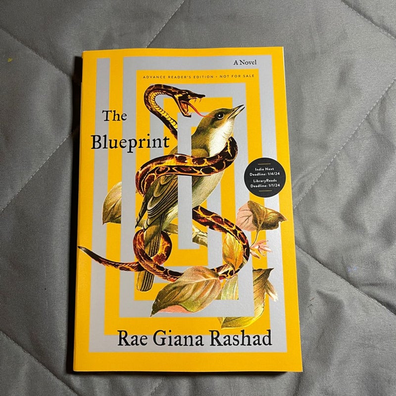 The Blueprint ARC by Rae Giana Rashad, Paperback | Pangobooks