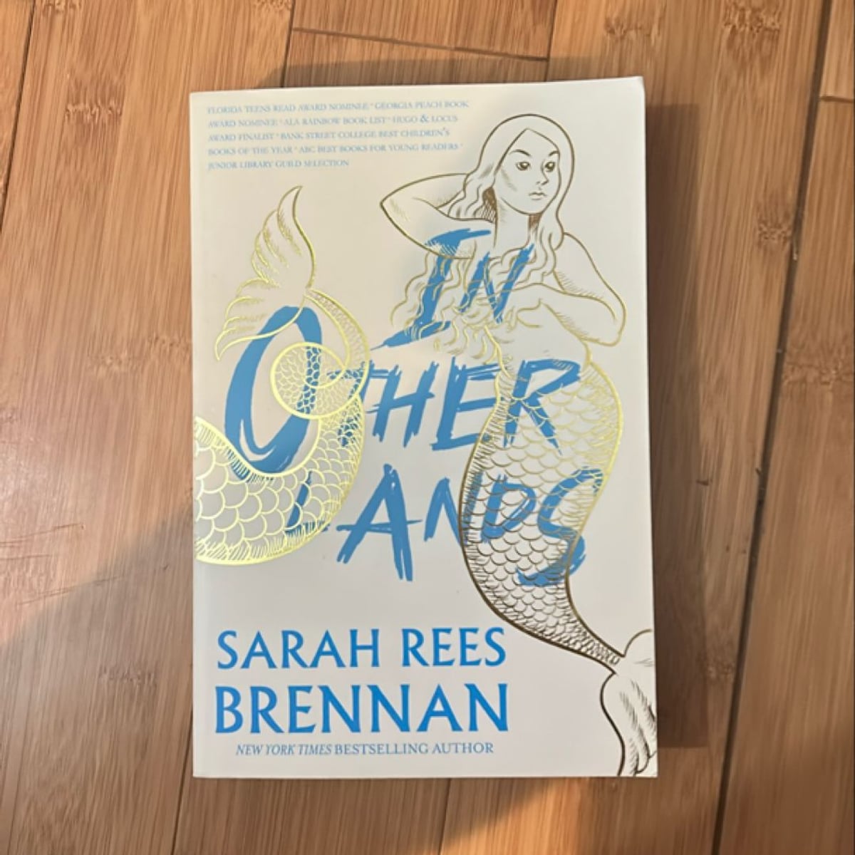 In Other Lands by Sarah Rees Brennan