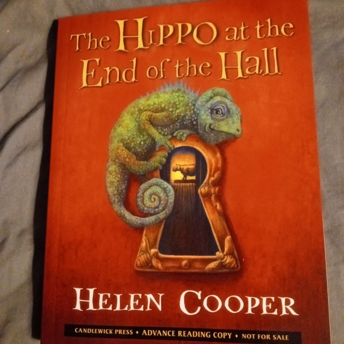 The Hippo at the End of the Hall by Helen Cooper