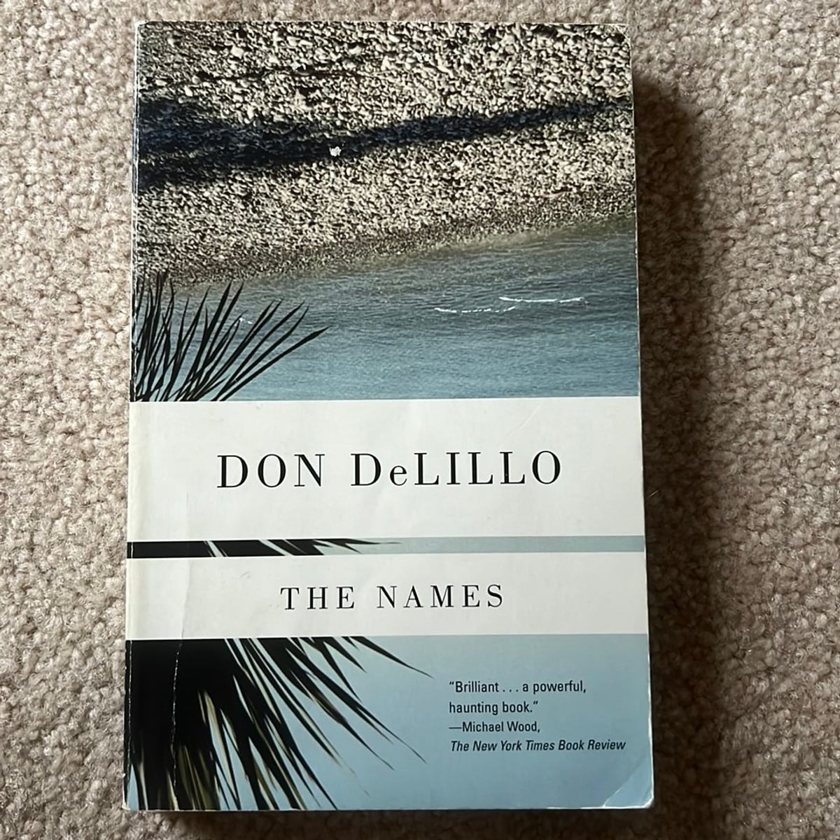 The Names by Don Delillo