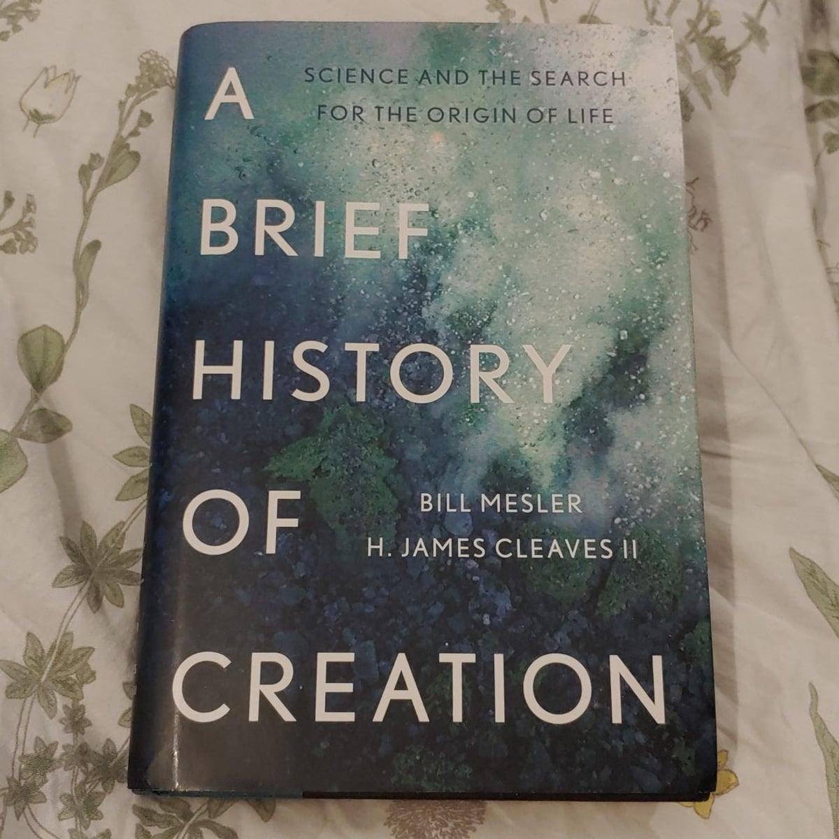 A Brief History of Creation by Mark Mesler