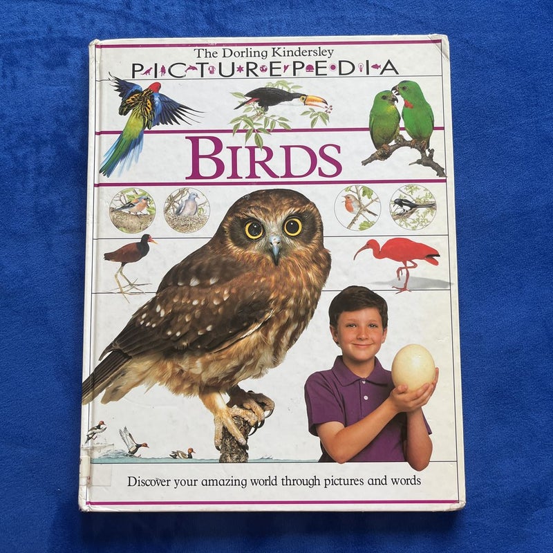 Birds by Alan Harris