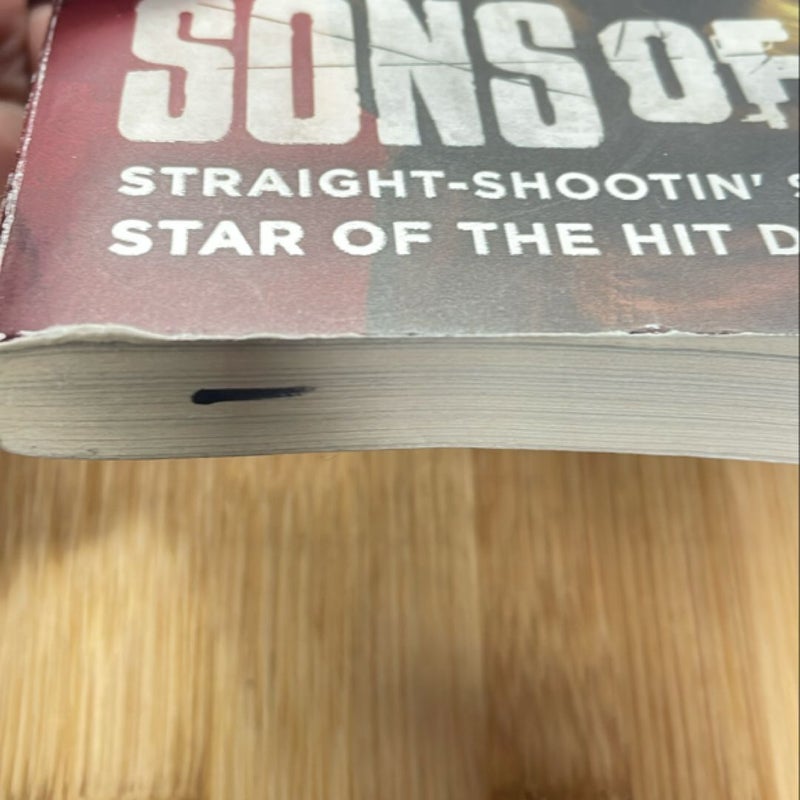 Sons of Guns by Will Hayden
