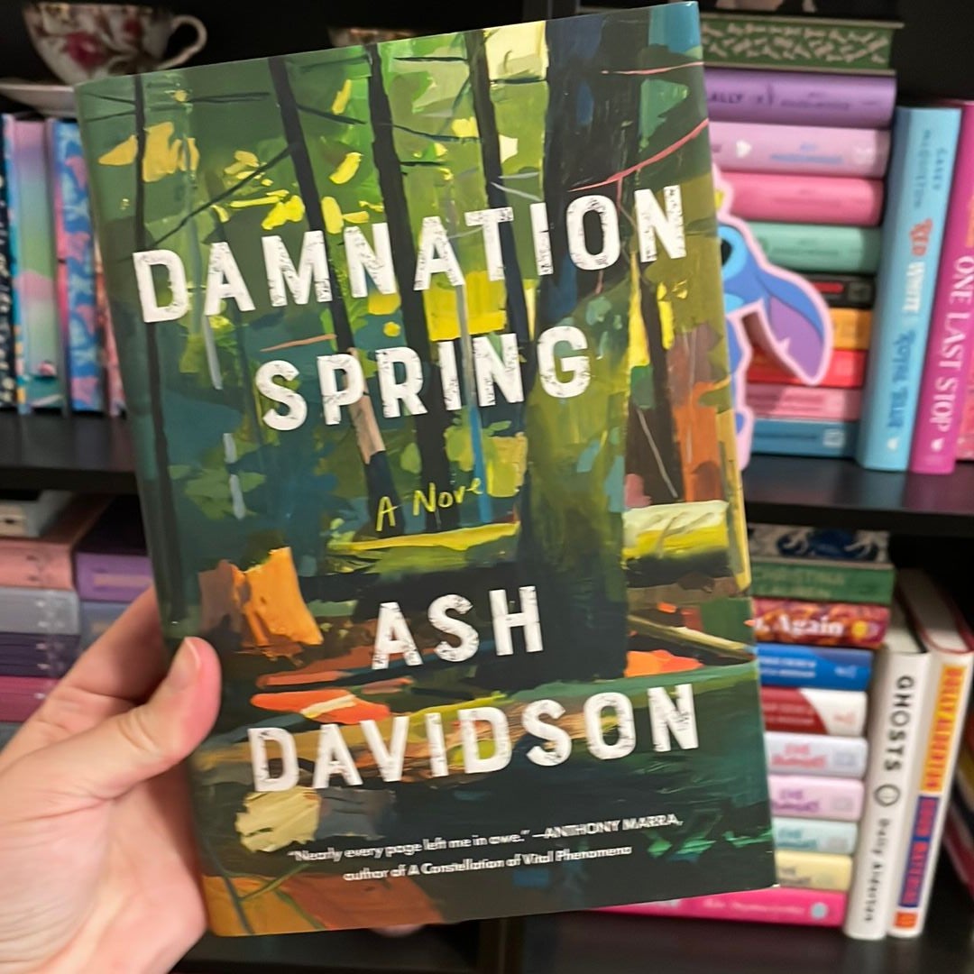 Damnation Spring by Ash Davidson, Hardcover | Pangobooks