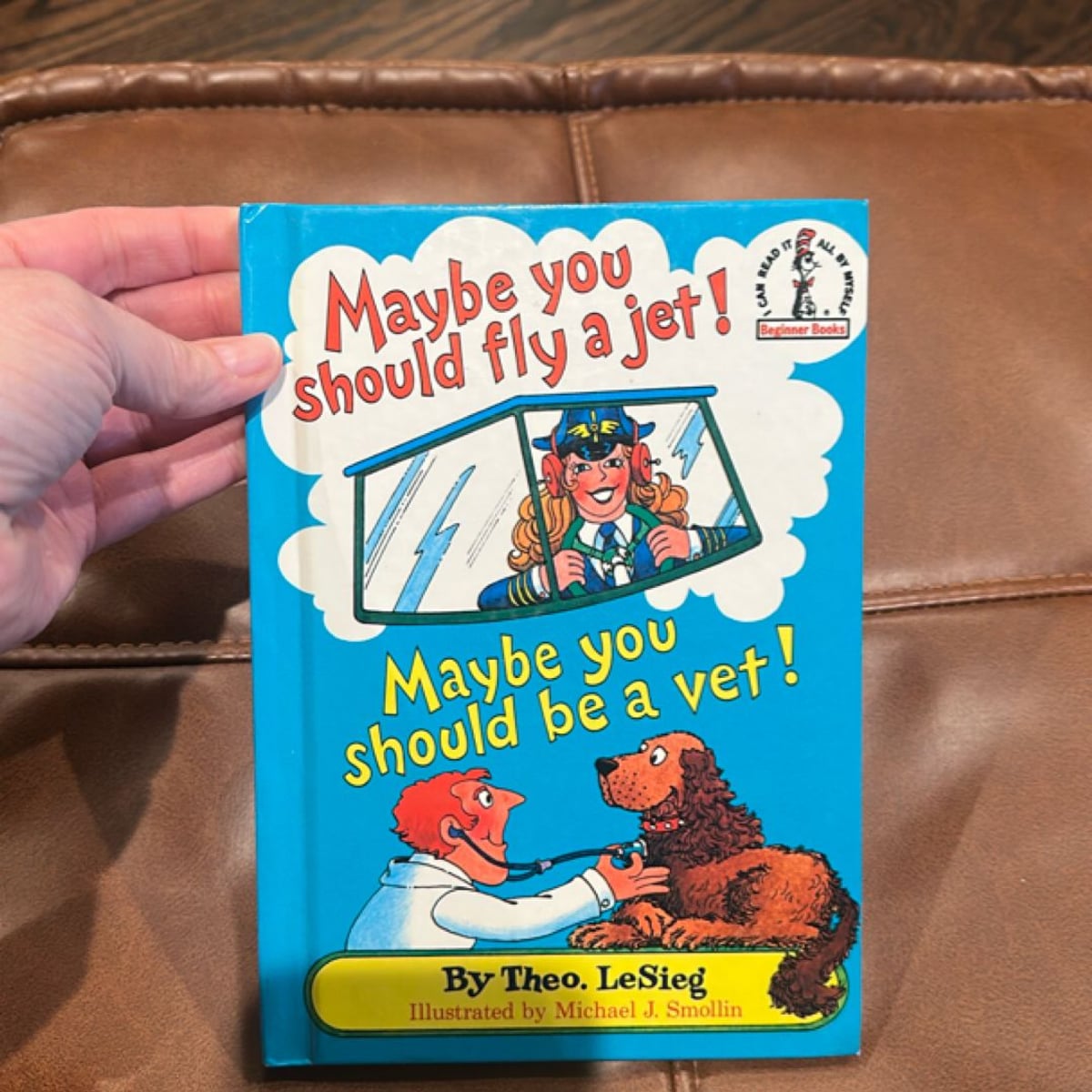 Maybe You Should Fly a Jet! Maybe You Should Be a Vet by Dr. Seuss
