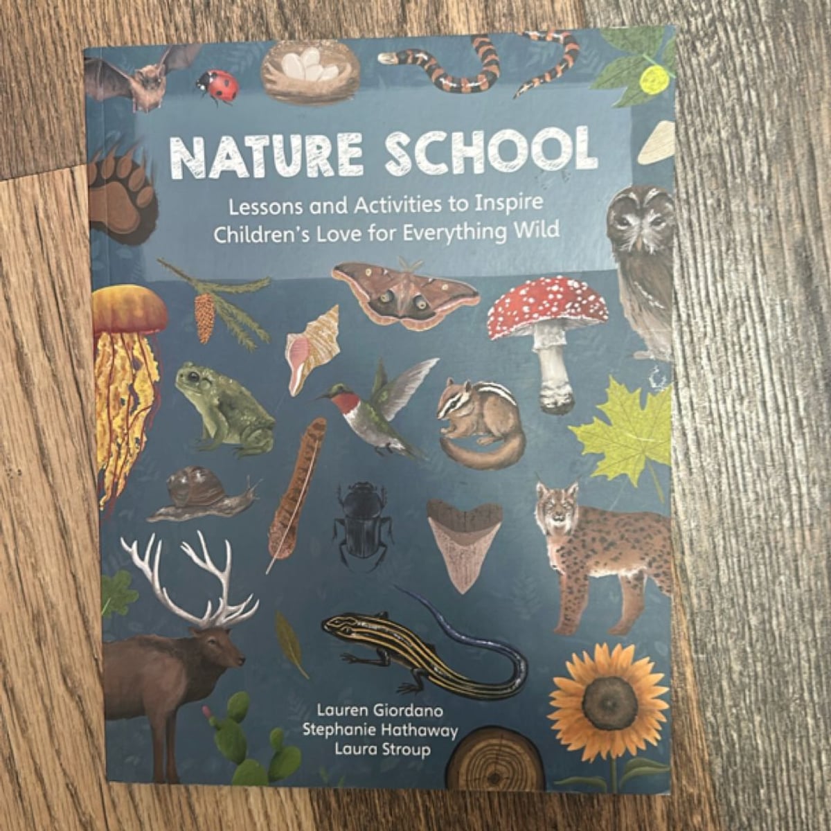 Nature School by Lauren Giordano, Stephanie Hathaway, Laura Stroup